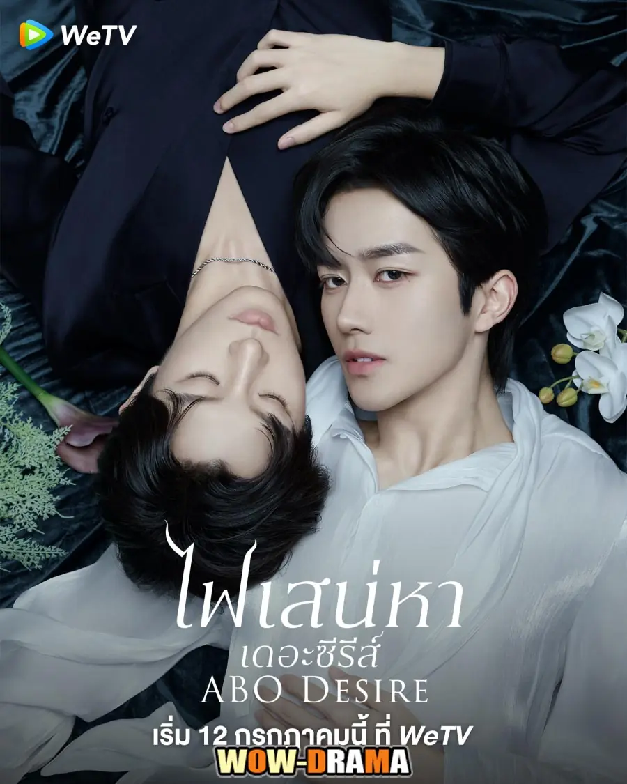 ดูซีรี่ส์ Wishing Upon the Shooting Stars คำอธิษฐานใต้ดวงดาว ซับไทย